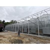 China IGreen Commercial Polycarbonate Greenhouse Greenhouse Polycarbonate Frame for sale