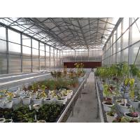 China IGreen Commercial Polycarbonate Greenhouse Greenhouse Polycarbonate Frame for sale