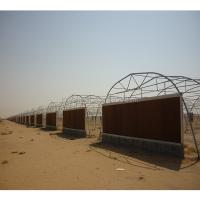 China IGreen Green House Metal Frame Greenhouse for Desert Rose Middle East Greenhouse for sale