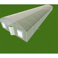 China IGreen Green House Metal Frame Greenhouse for Desert Rose Middle East Greenhouse for sale