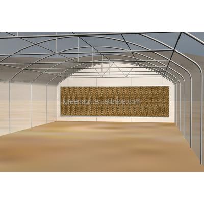 China IGreen Green House Metal Frame Greenhouse for Desert Rose Middle East Greenhouse for sale