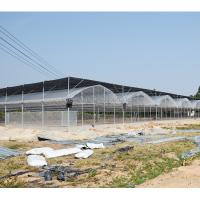 China IGreen Industrial Greenhouse Irrigation System Greenhouse For Snail Farming for sale