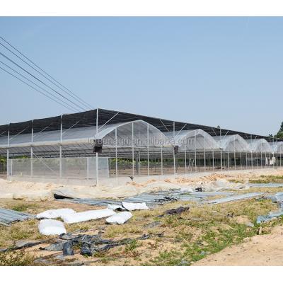 China IGreen Industrial Greenhouse Irrigation System Greenhouse For Snail Farming for sale