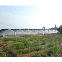 China IGreen Industrial Greenhouse Irrigation System Greenhouse For Snail Farming for sale