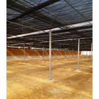 China IGreen Industrial Greenhouse Irrigation System Greenhouse For Snail Farming for sale