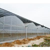 China IGreen Industrial Greenhouse Irrigation System Greenhouse For Snail Farming for sale