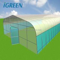 China IGREEN Small Single-Span PE Greenhouse with Hot Dipped Galvanized Steel Structure for Agricultural Use for sale