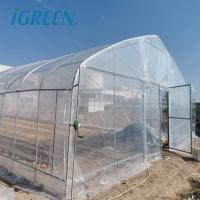 China IGREEN Small Single-Span PE Greenhouse with Hot Dipped Galvanized Steel Structure for Agricultural Use for sale