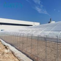 China IGREEN Small Single-Span PE Greenhouse with Hot Dipped Galvanized Steel Structure for Agricultural Use for sale