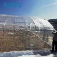 China IGREEN Small Single-Span PE Greenhouse with Hot Dipped Galvanized Steel Structure for Agricultural Use for sale