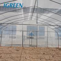 China IGREEN Small Single-Span PE Greenhouse with Hot Dipped Galvanized Steel Structure for Agricultural Use for sale