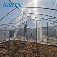 China IGREEN Small Single-Span PE Greenhouse with Hot Dipped Galvanized Steel Structure for Agricultural Use for sale