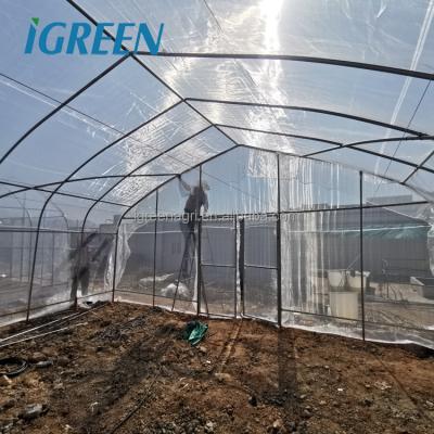 China IGREEN Small Single-Span PE Greenhouse with Hot Dipped Galvanized Steel Structure for Agricultural Use for sale