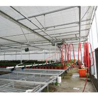China IGreen Agricultural Equipment 7-10m Tunnel Width Commercial Green House for sale