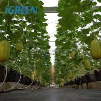 China IGreen Agricultural Equipment 7-10m Tunnel Width Commercial Green House for sale