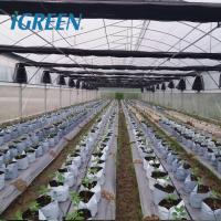 China IGreen Agricultural Equipment 7-10m Tunnel Width Commercial Green House for sale