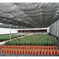 China IGreen Agricultural Equipment 7-10m Tunnel Width Commercial Green House for sale