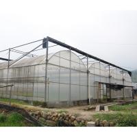 China IGREEN Large Multi-Span Plastic Greenhouse For Plants Green House Greenhouse Roofing Material for sale
