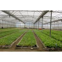 China IGREEN Large Multi-Span Plastic Greenhouse For Plants Green House Greenhouse Roofing Material for sale