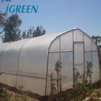 China IGreen Single-Span Small PE Film Outdoor Agricultural Greenhouse for sale