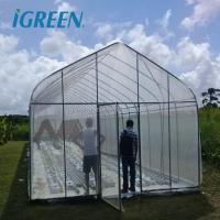 China IGreen Single-Span Small PE Film Outdoor Agricultural Greenhouse for sale