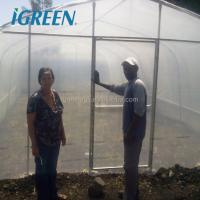 China IGreen Single-Span Small PE Film Outdoor Agricultural Greenhouse for sale