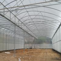 China IGreen Tunnel Strawberry Greenhouses for Sale Price of M2 Agricultural Greenhouse for sale