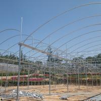 China IGreen Tunnel Strawberry Greenhouses for Sale Price of M2 Agricultural Greenhouse for sale