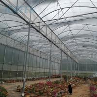 China IGreen Tunnel Strawberry Greenhouses for Sale Price of M2 Agricultural Greenhouse for sale