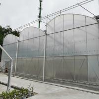 China IGreen Tunnel Strawberry Greenhouses for Sale Price of M2 Agricultural Greenhouse for sale