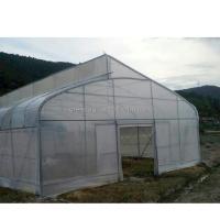 China IGreen Plastic Tropical Green House Tropical Complete Green House for sale