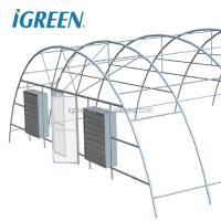 China IGreen PE Single-span Agricultural Poly Film Tunnel Greenhouse with Zinc Coated Steel Frame for Tomato Growing for sale