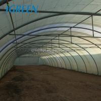 China IGreen PE Single-span Agricultural Poly Film Tunnel Greenhouse with Zinc Coated Steel Frame for Tomato Growing for sale