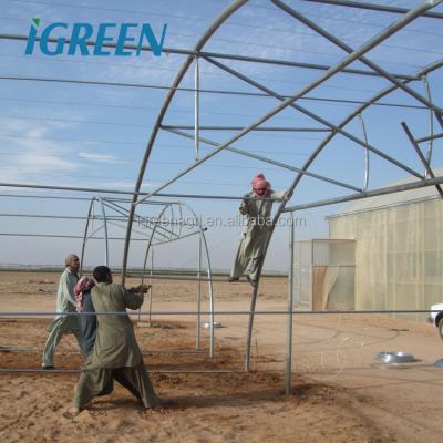 China IGreen PE Single-span Agricultural Poly Film Tunnel Greenhouse with Zinc Coated Steel Frame for Tomato Growing for sale