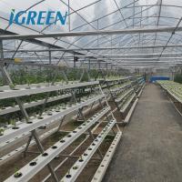 China IGreen Multi-Span Agricultural Greenhouse with PE Film Cover Single Layer Customizable Size for sale