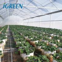 China IGreen Multi-Span Agricultural Greenhouse with PE Film Cover Single Layer Customizable Size for sale