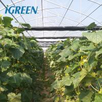 China IGreen Multi-Span Agricultural Greenhouse with PE Film Cover Single Layer Customizable Size for sale