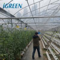 China IGreen Multi-Span Agricultural Greenhouse with PE Film Cover Single Layer Customizable Size for sale
