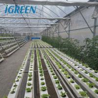 China IGreen Multi-Span Agricultural Greenhouse with PE Film Cover Single Layer Customizable Size for sale