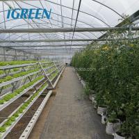 China IGreen Multi-Span Agricultural Greenhouse with PE Film Cover Single Layer Customizable Size for sale