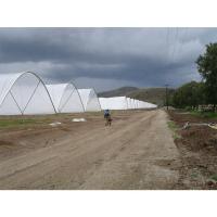 China IGreen Strawberry Greenhouse with Hot Dipped Galvanized Steel Pipe and Customized Length Covered by 150/200micron Plastic Film for sale