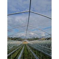 China IGreen Strawberry Greenhouse with Hot Dipped Galvanized Steel Pipe and Customized Length Covered by 150/200micron Plastic Film for sale
