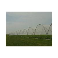 China IGreen Strawberry Greenhouse with Hot Dipped Galvanized Steel Pipe and Customized Length Covered by 150/200micron Plastic Film for sale