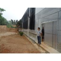 China Professional Multi-Span Agricultural Greenhouses with Single Layer PE Film Cover Large Size Used for Plant Growth for sale