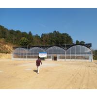 China Professional Multi-Span Agricultural Greenhouses with Single Layer PE Film Cover Large Size Used for Plant Growth for sale
