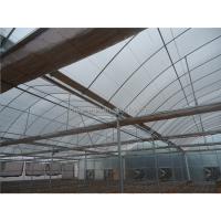 China Professional Multi-Span Agricultural Greenhouses with Single Layer PE Film Cover Large Size Used for Plant Growth for sale