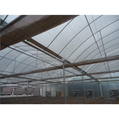 China Professional Multi-Span Agricultural Greenhouses with Single Layer PE Film Cover Large Size Used for Plant Growth for sale