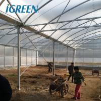 China IGREEN Large Single Layer PE Sawtooth Green House for Hot Weather Tropical Greenhouse with Roof Vent for sale