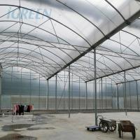 China IGREEN Large Single Layer PE Sawtooth Green House for Hot Weather Tropical Greenhouse with Roof Vent for sale