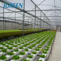 China IGREEN Large Single Layer PE Sawtooth Green House for Hot Weather Tropical Greenhouse with Roof Vent for sale